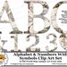 Old World Map From 1685 Alphabet, Numbers & Symbols Clipart Overlays ...
