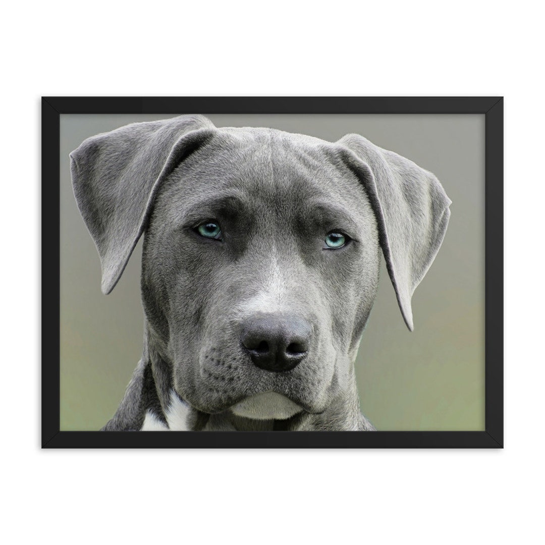 Dog Art Framed Poster, Pet Wall Art Framed Poster, Framed Art Decor ...