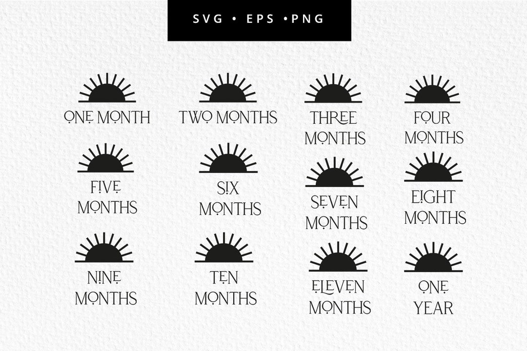 Monthly Milestones SVG, 12 Monthly Milestone, Milestone SVG Cut Files ...