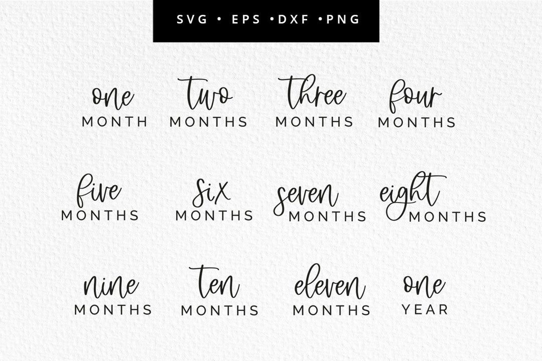Monthly Milestones SVG, 12 Monthly Milestone, Milestone SVG Cut Files ...