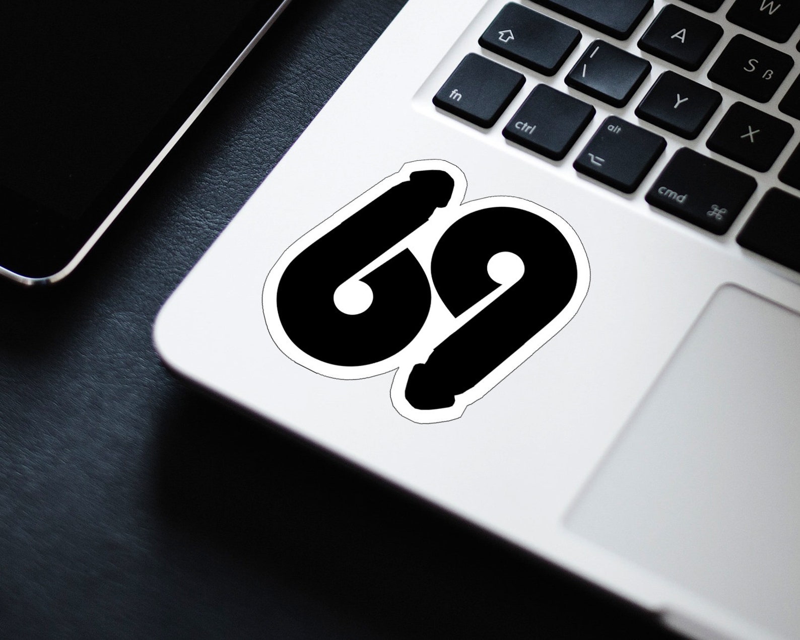 69 Symbol Male Penis Glossy Sticker. Available in Many Sizes - Etsy UK