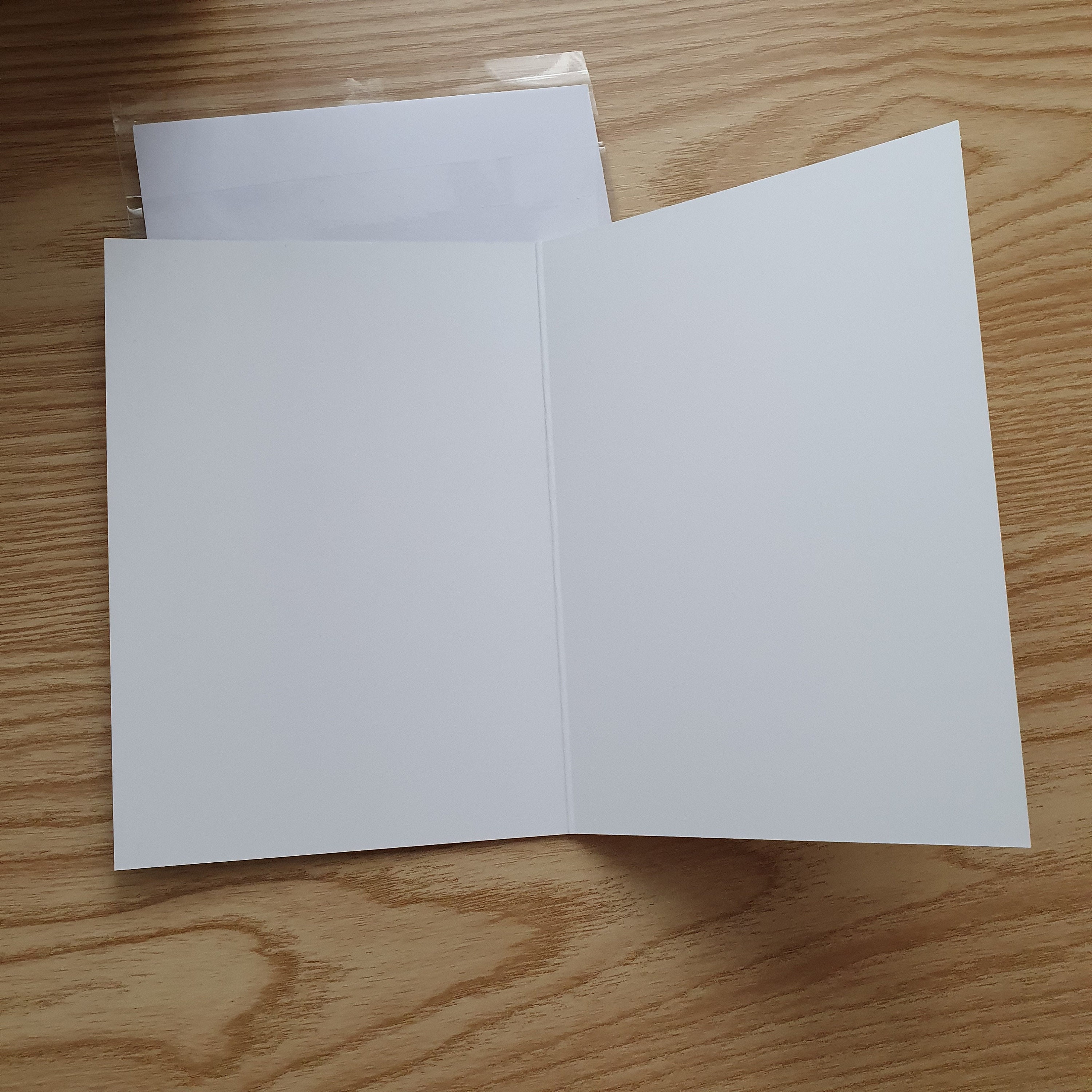 Cat Loss Card thinking of You Commiserations Card, Sorry for Your Loss ...