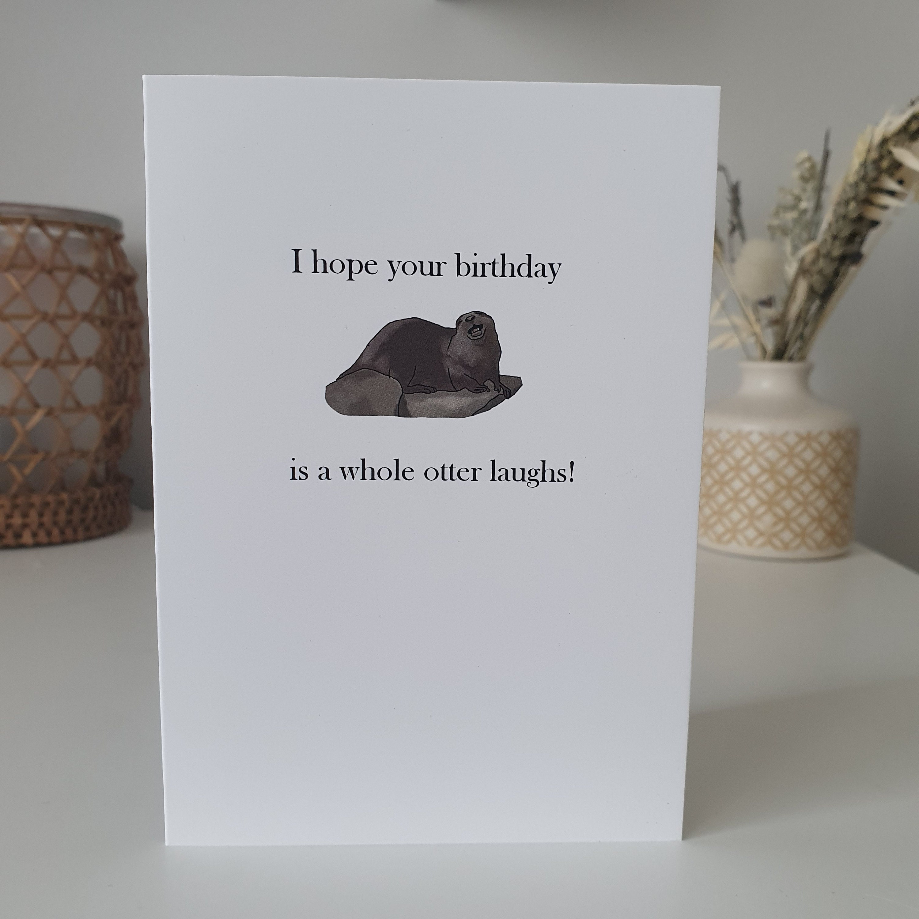 Multipack Funny Birthday Cards Bundle Animal Designs Witty Birthday ...