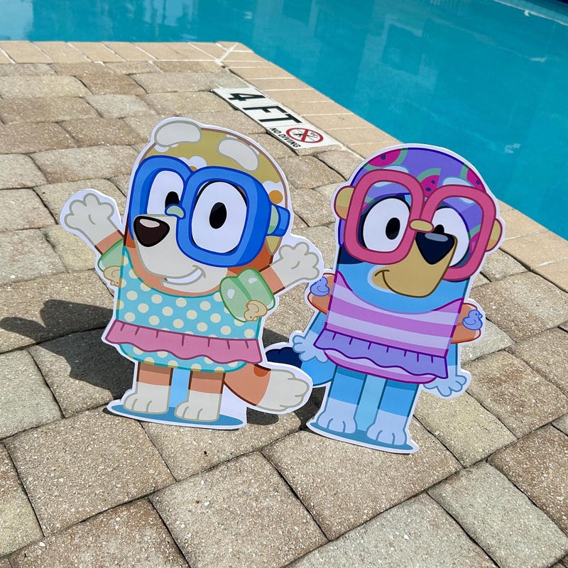 Bluey Pool Party Gift - 60+ Gift Ideas for 2025