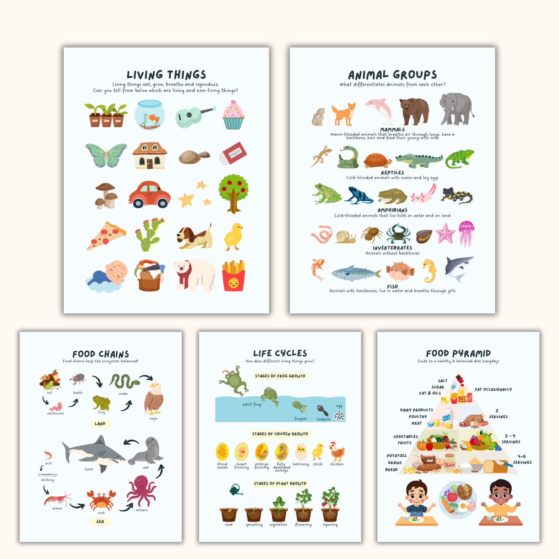 Science Educational Posters, Prints for Preschool Toddler Elementary ...