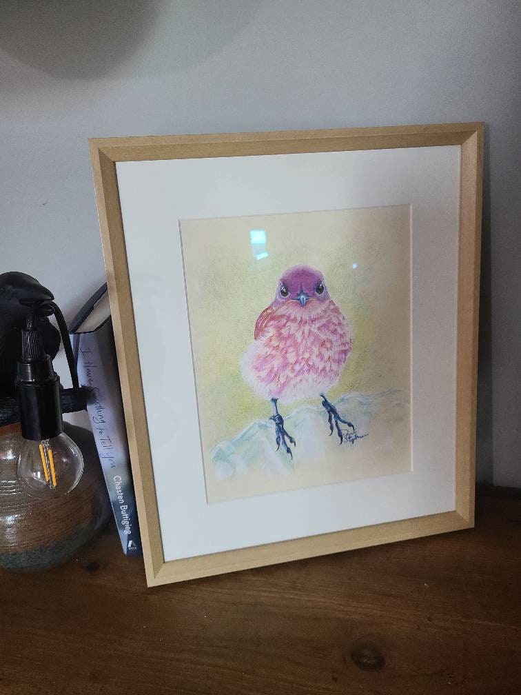 Grumpy Baby Blue Bird - 8x10 - High Quality Print - Bird Art - Bird ...