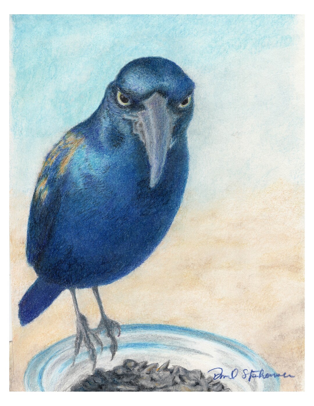 Angry Grackle - 8x10 - High Quality Print - Bird Art - Bird ...