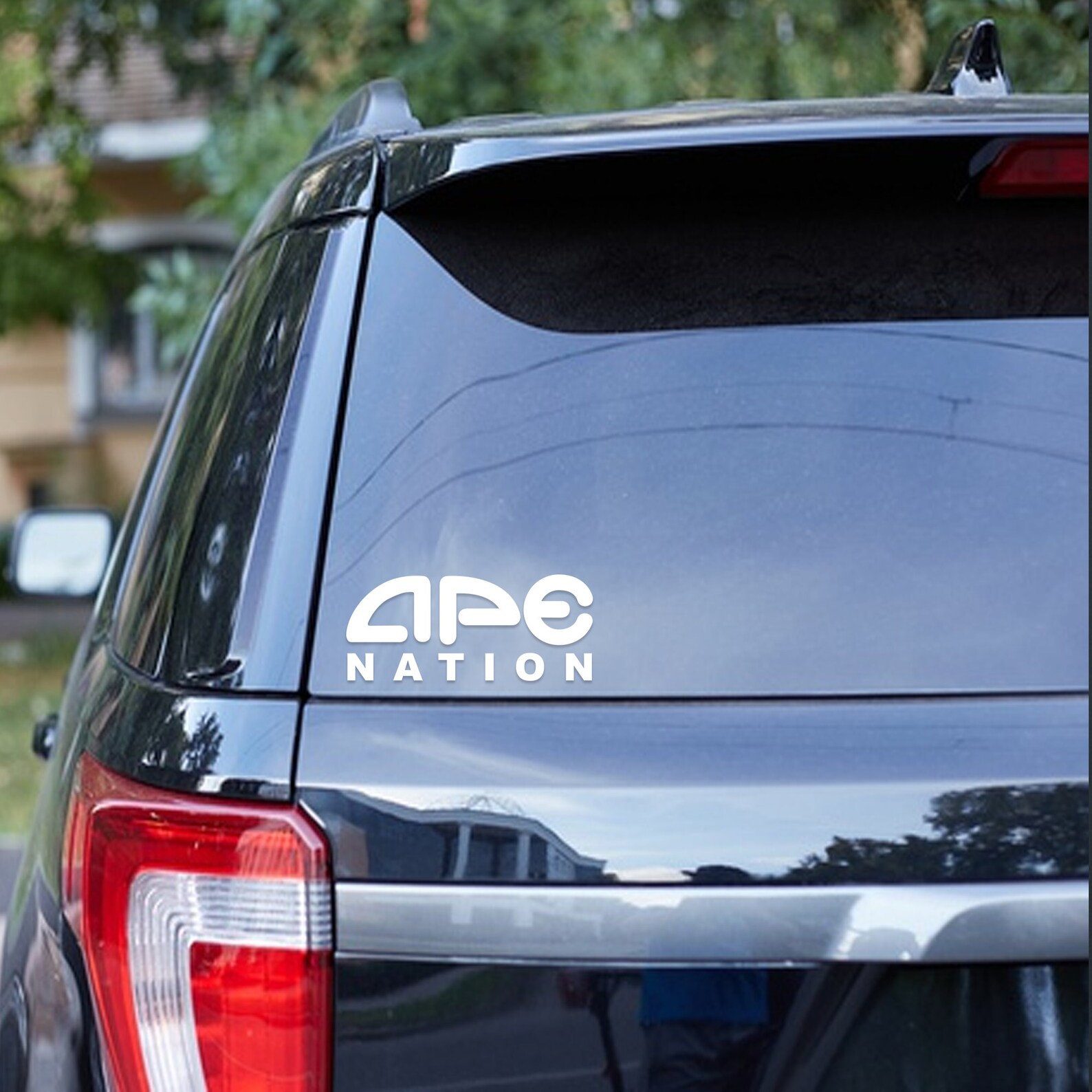 AMC NATION Vinyl Decal Sticker Amc Shirt Amc Ape - Etsy