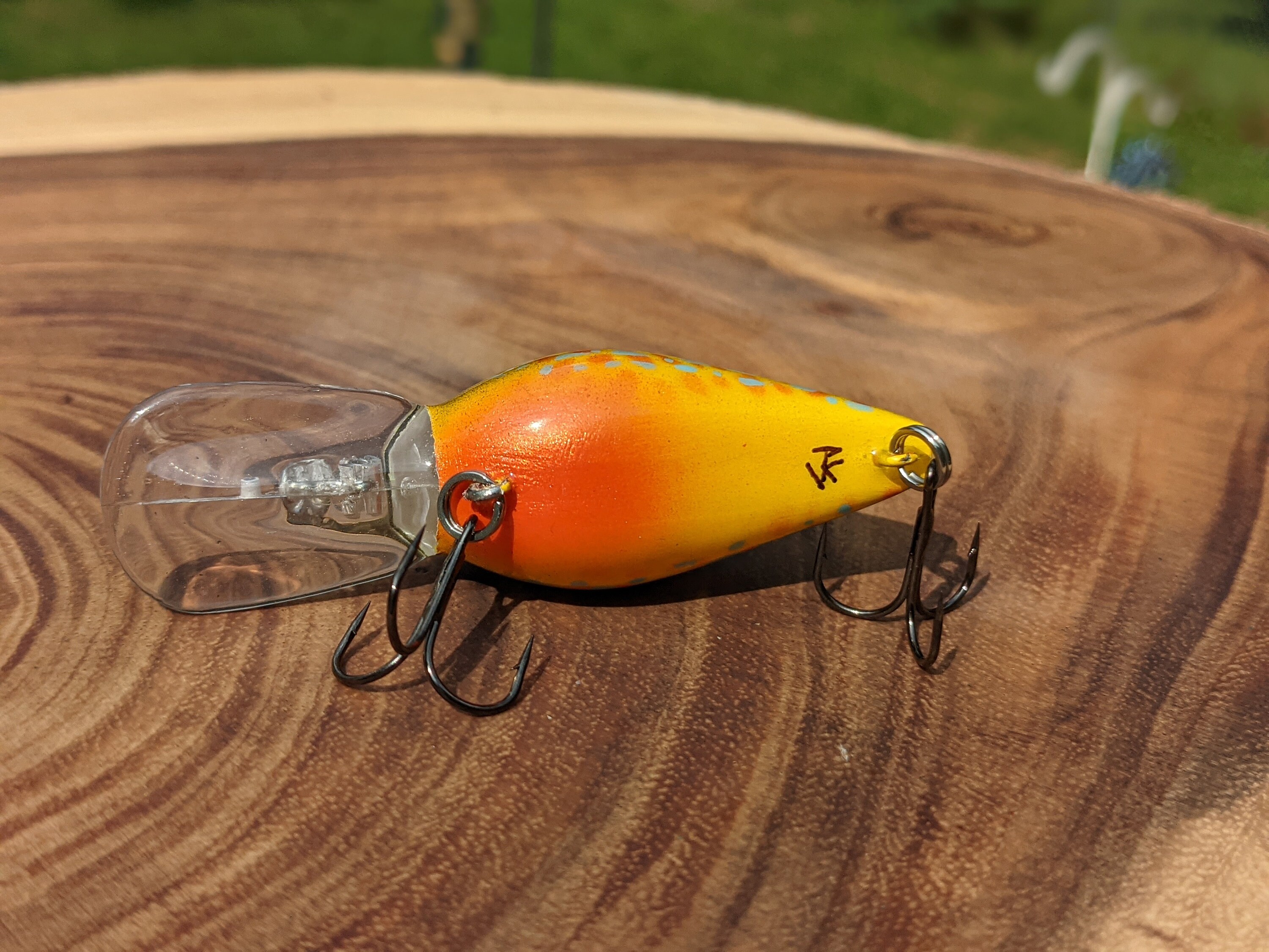 Custom Painted Wiggle Wart, Pumpkinseed - Etsy