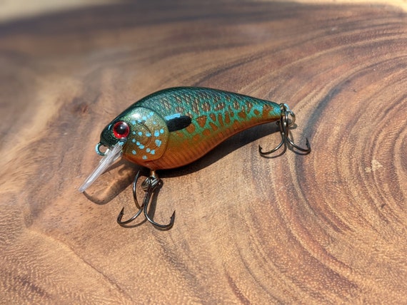 Green Sunfish Custom Painted 1.5 Crankbait - Etsy