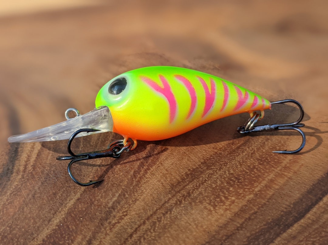 Custom Painted Wiggle Wart, Pink Firetiger - Etsy