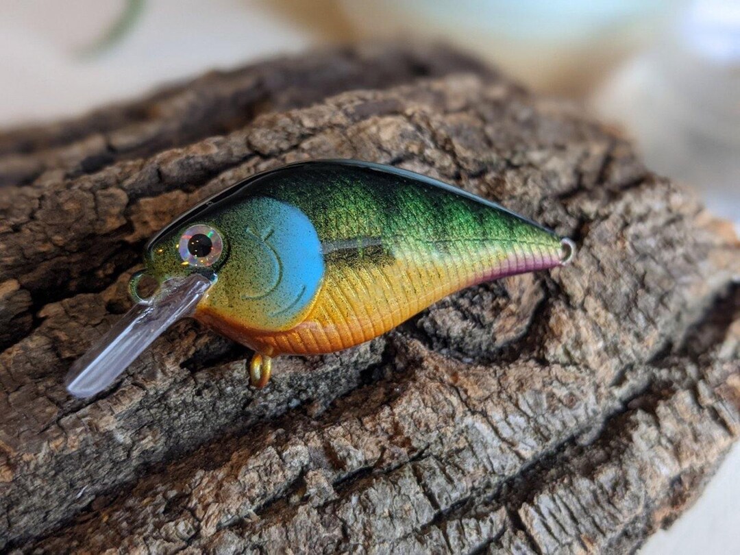 Bluegill Custom Painted 1.5 Crankbait - Etsy