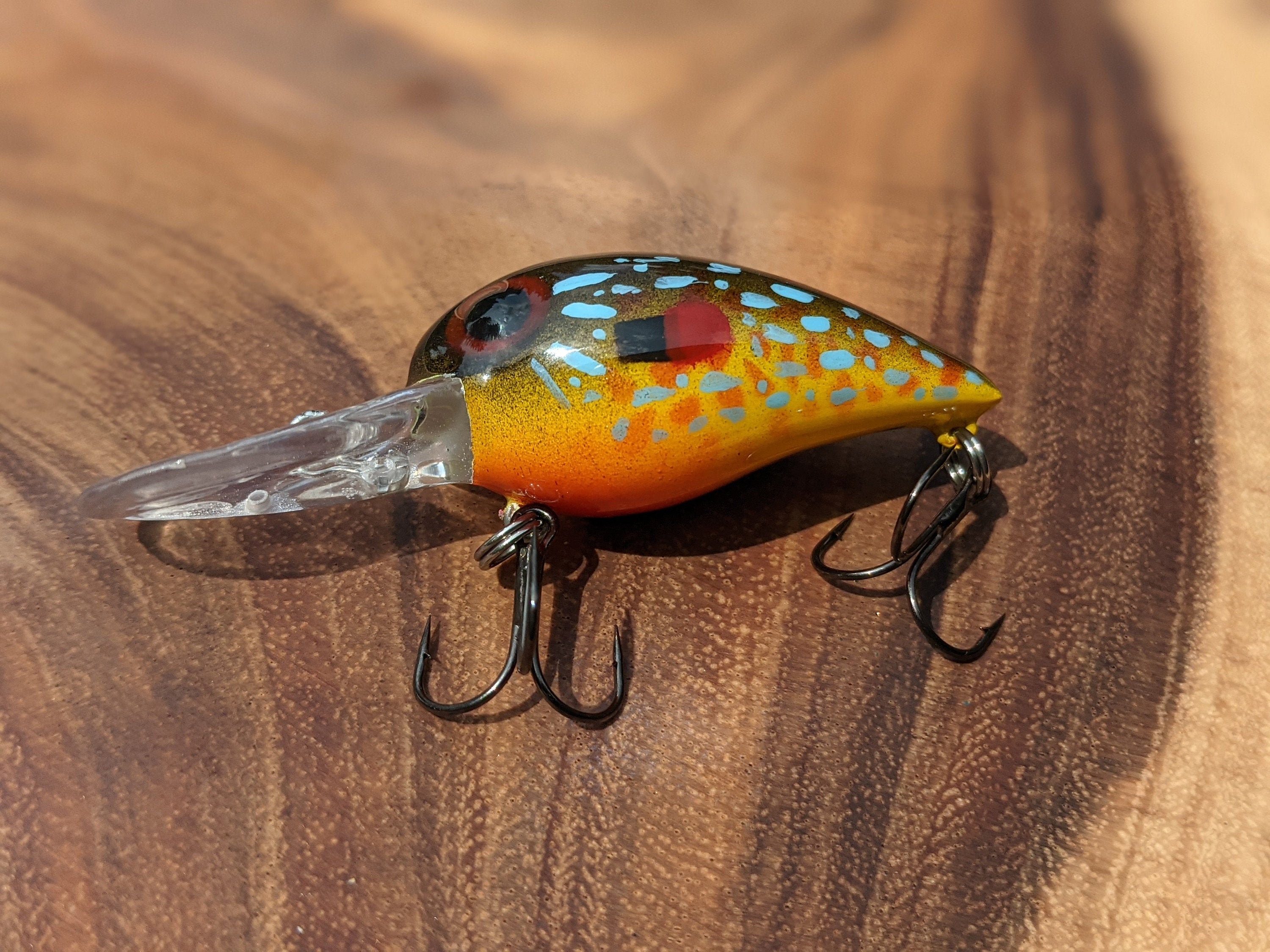 Custom Painted Wiggle Wart, Pumpkinseed - Etsy