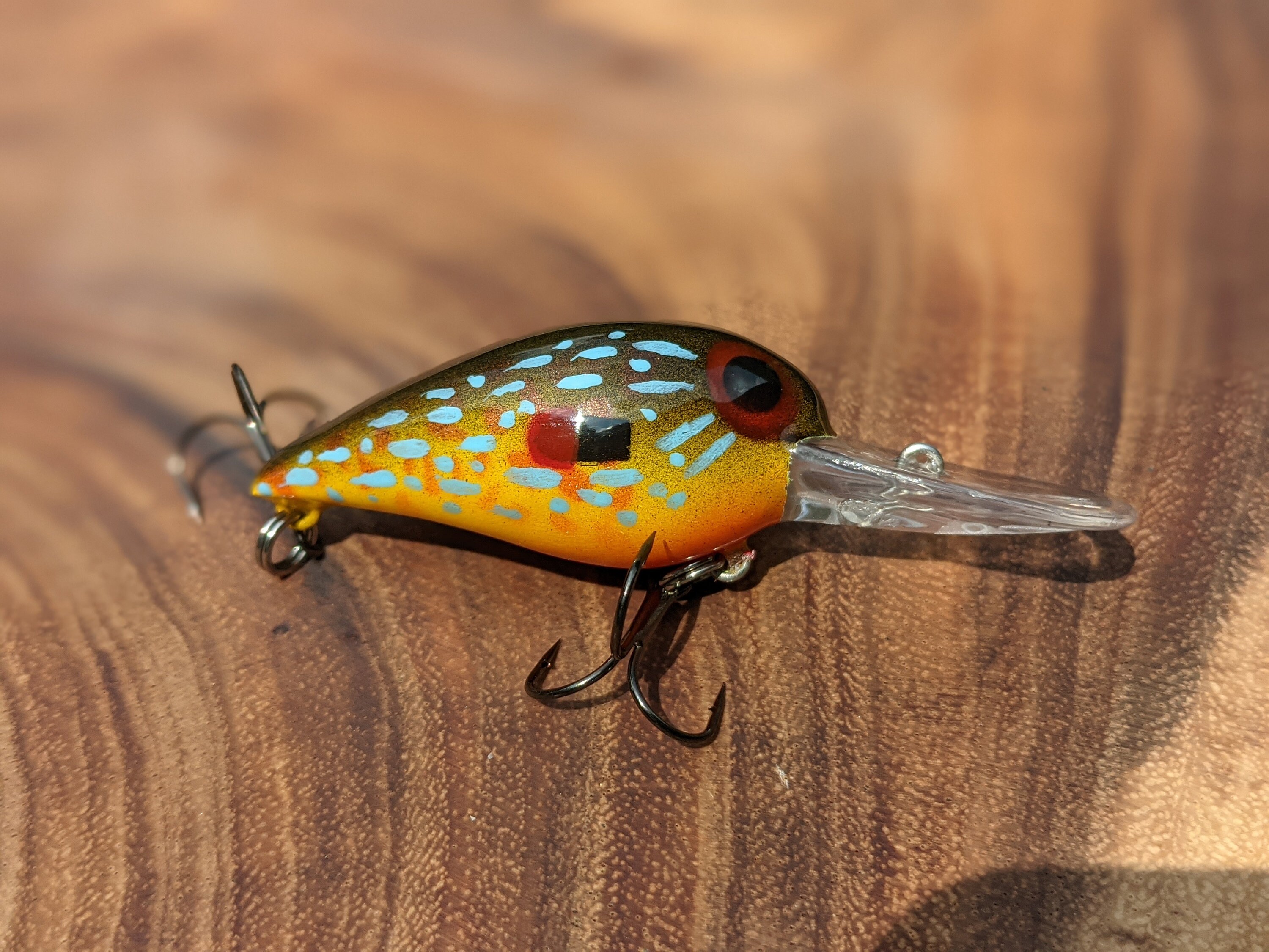 Custom Painted Wiggle Wart, Pumpkinseed - Etsy