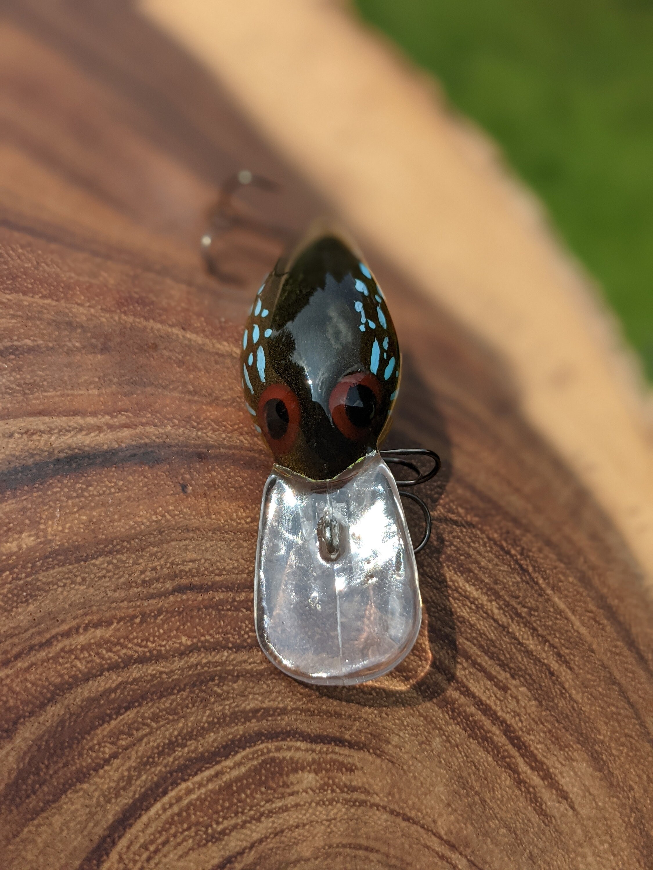 Custom Painted Wiggle Wart, Pumpkinseed - Etsy