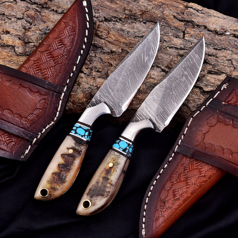 Handmade Damascus Skinner Knife Set – Ram Horn & Turquoise Handle ...