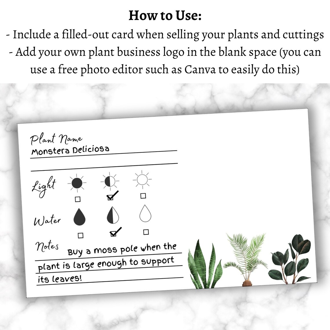 Plant Care Card With Space for Logo, Blank Card, Printable, Digital ...