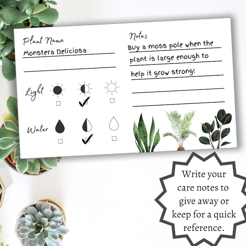 Plant Care Card, Blank Card, Printable, Digital Download, Instant ...