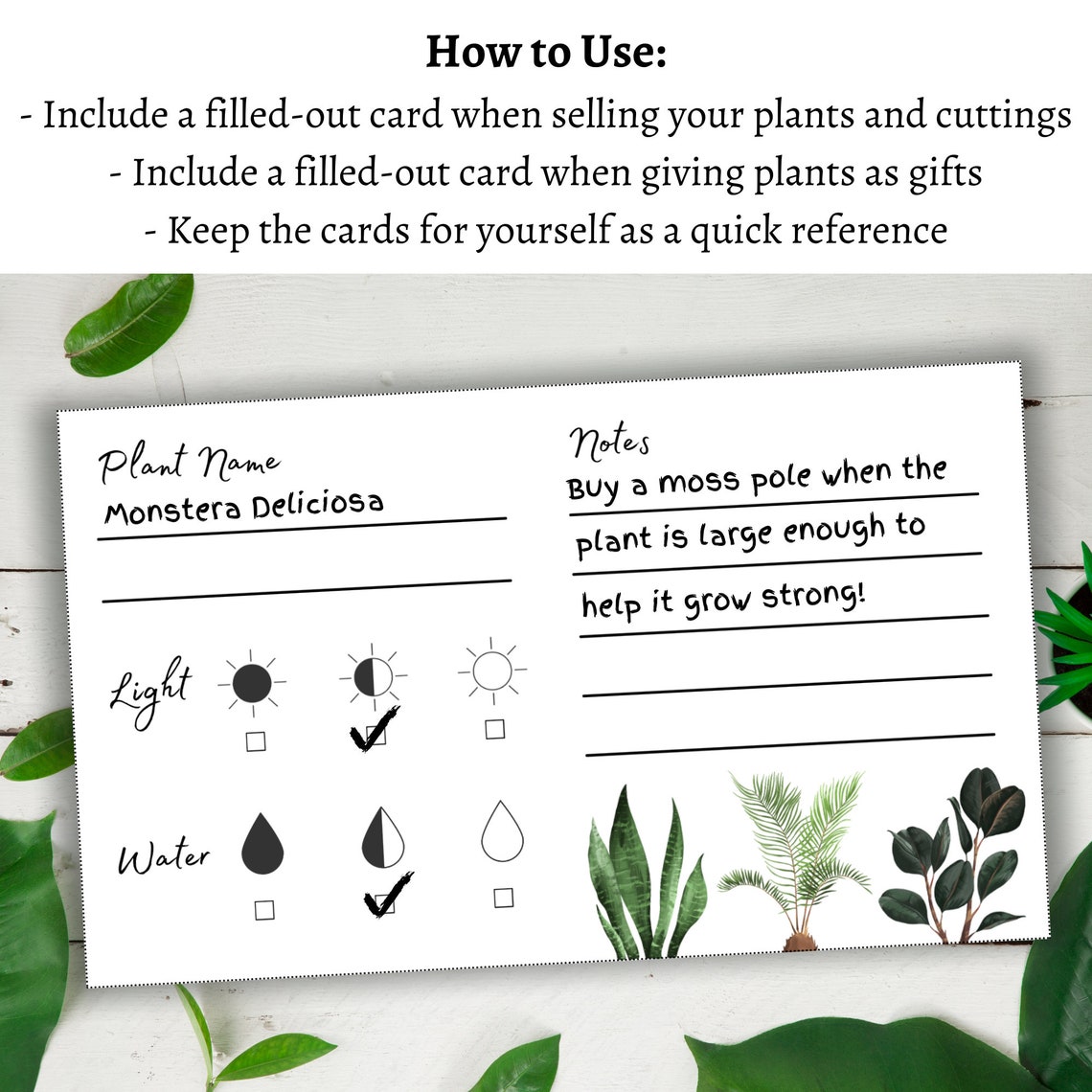 Plant Care Card, Blank Card, Printable, Digital Download, Instant ...