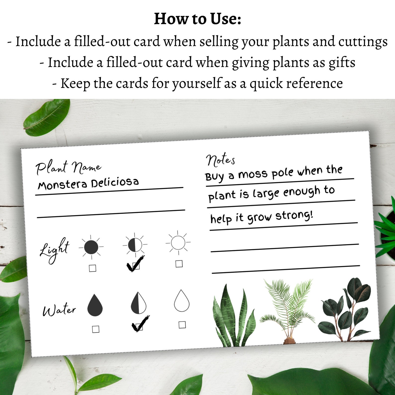 Plant Care Card, Blank Card, Printable, Digital Download, Instant ...