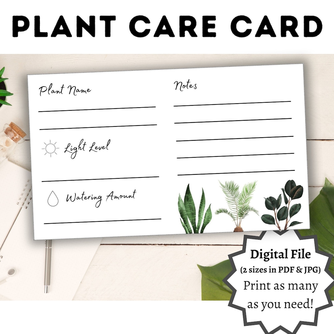 Plant Care Card, Blank Card, Printable, Digital Download, Instant ...