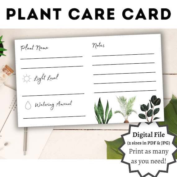 Plant Care Card Blank Card Printable Digital Download | Etsy