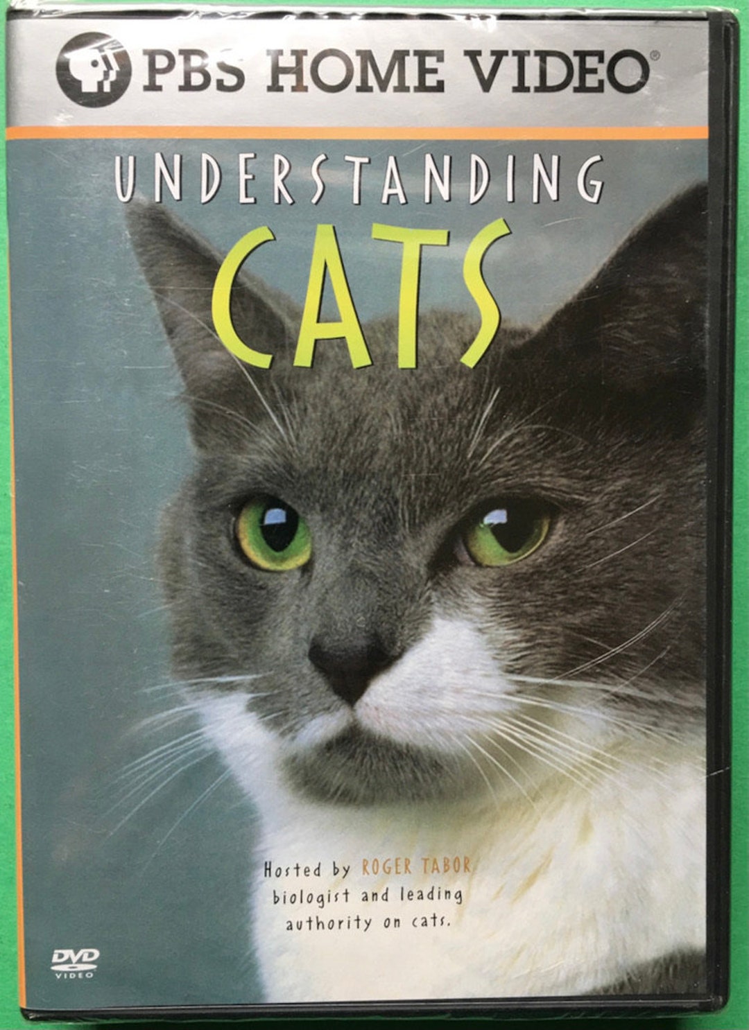 Understanding Cats DVD PBS Home Video New Sealed - Etsy