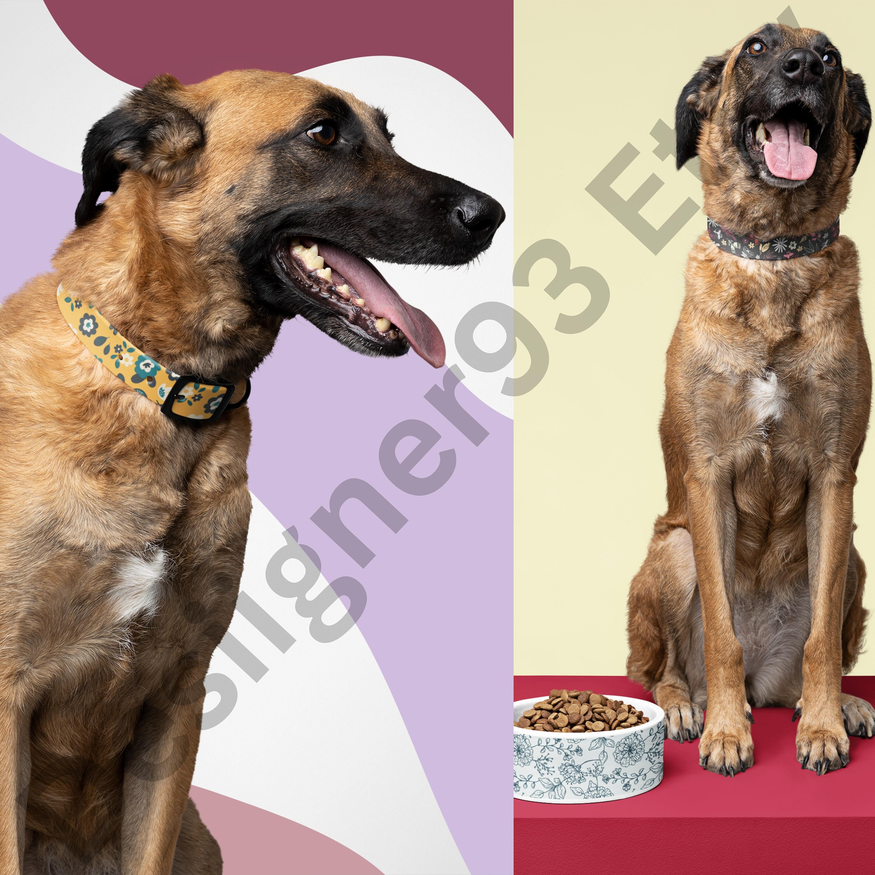 40+ Cute Cat and Dog Collar Sublimation Vintage Flower Pattern Ai Eps ...