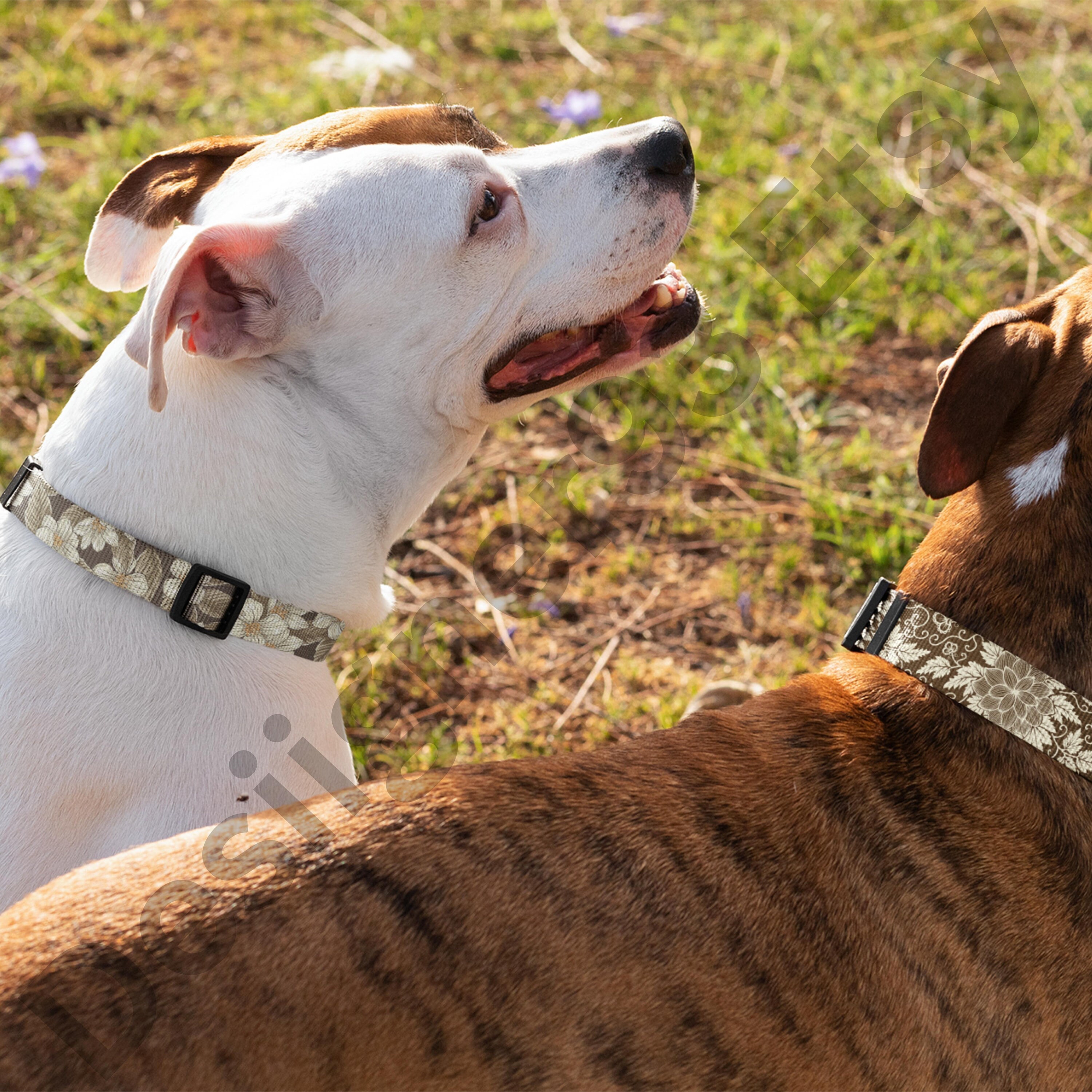 40+ Cute Cat and Dog Collar Sublimation Vintage Flower Pattern Ai Eps ...