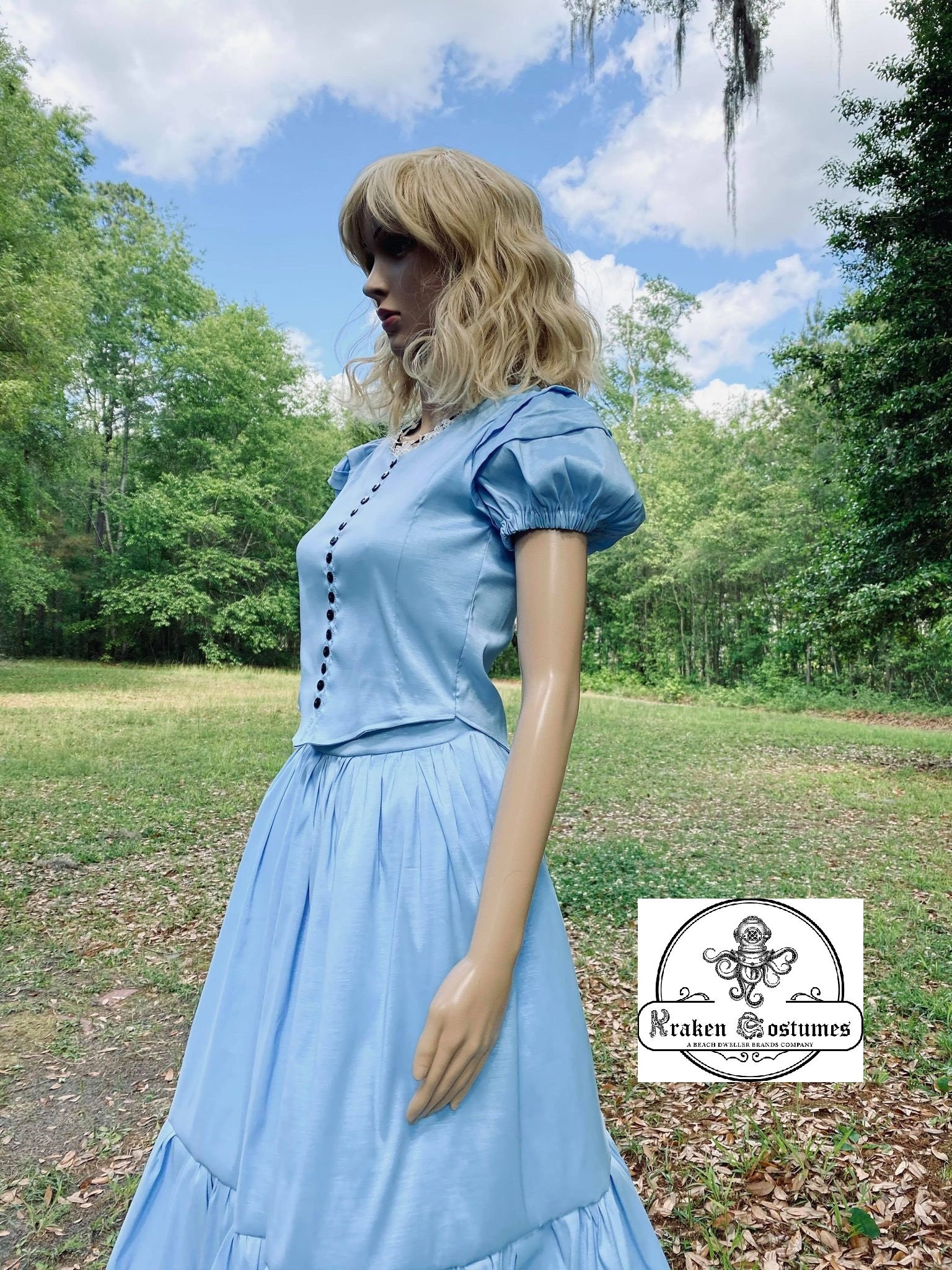 Alice Costume, Custom Sizes Available, Adult Wonderland Cosplay ...