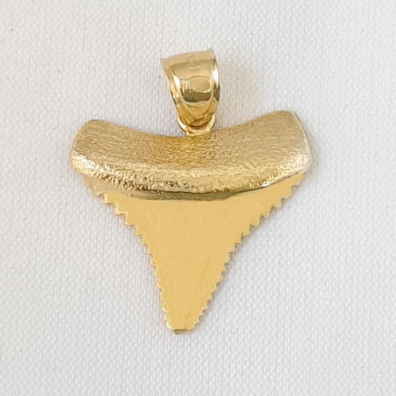 14K Yellow Gold Serrated Shark Tooth Pendant | Etsy