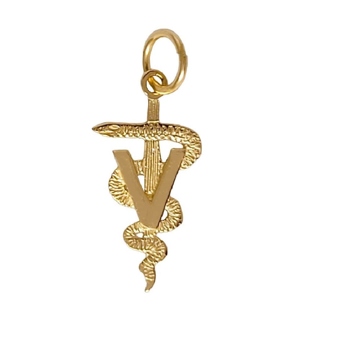 14k Yellow Gold Veterinary Caduceus Medical Symbol Charm Pendant - Etsy