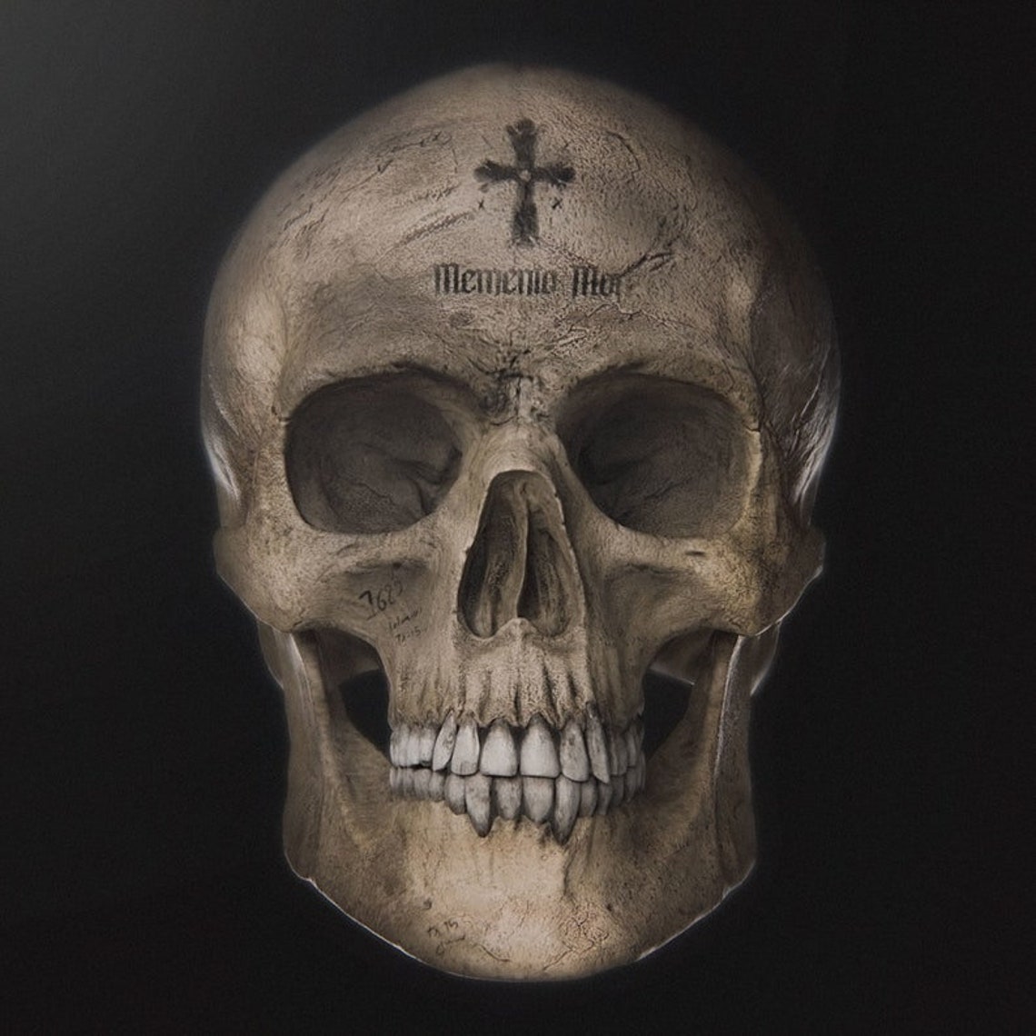 4 Set Human Skull Pack 3D Print Model Fbx Stl, Obj, Ztl, DAE Original ...