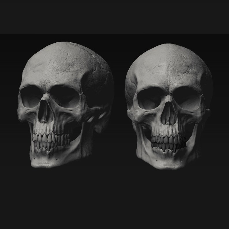 Rare 3D Skull Low-poly 3D Model Fbx Files Instant Download - Etsy