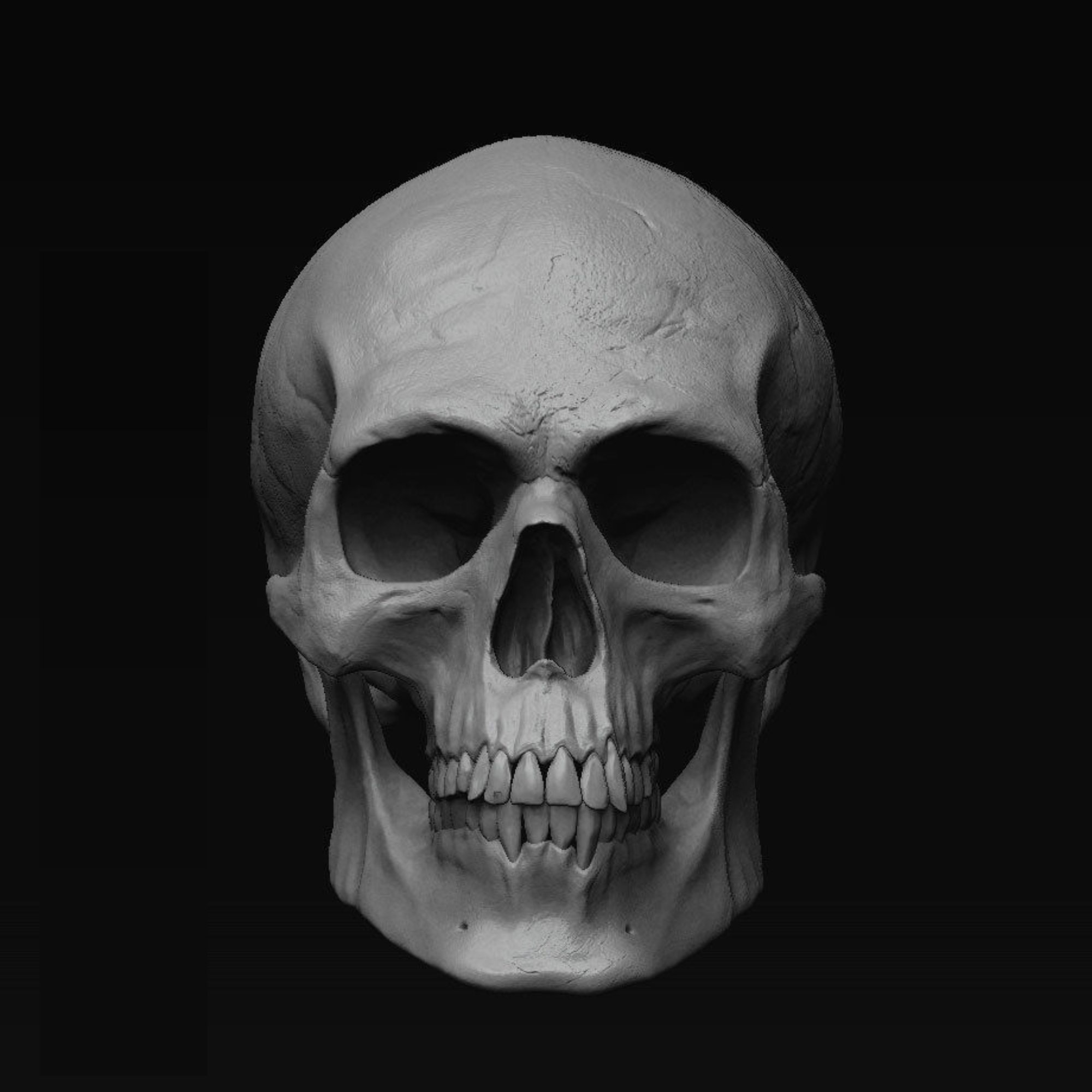 Rare 3D Skull Low-poly 3D Model Fbx Files Instant Download - Etsy