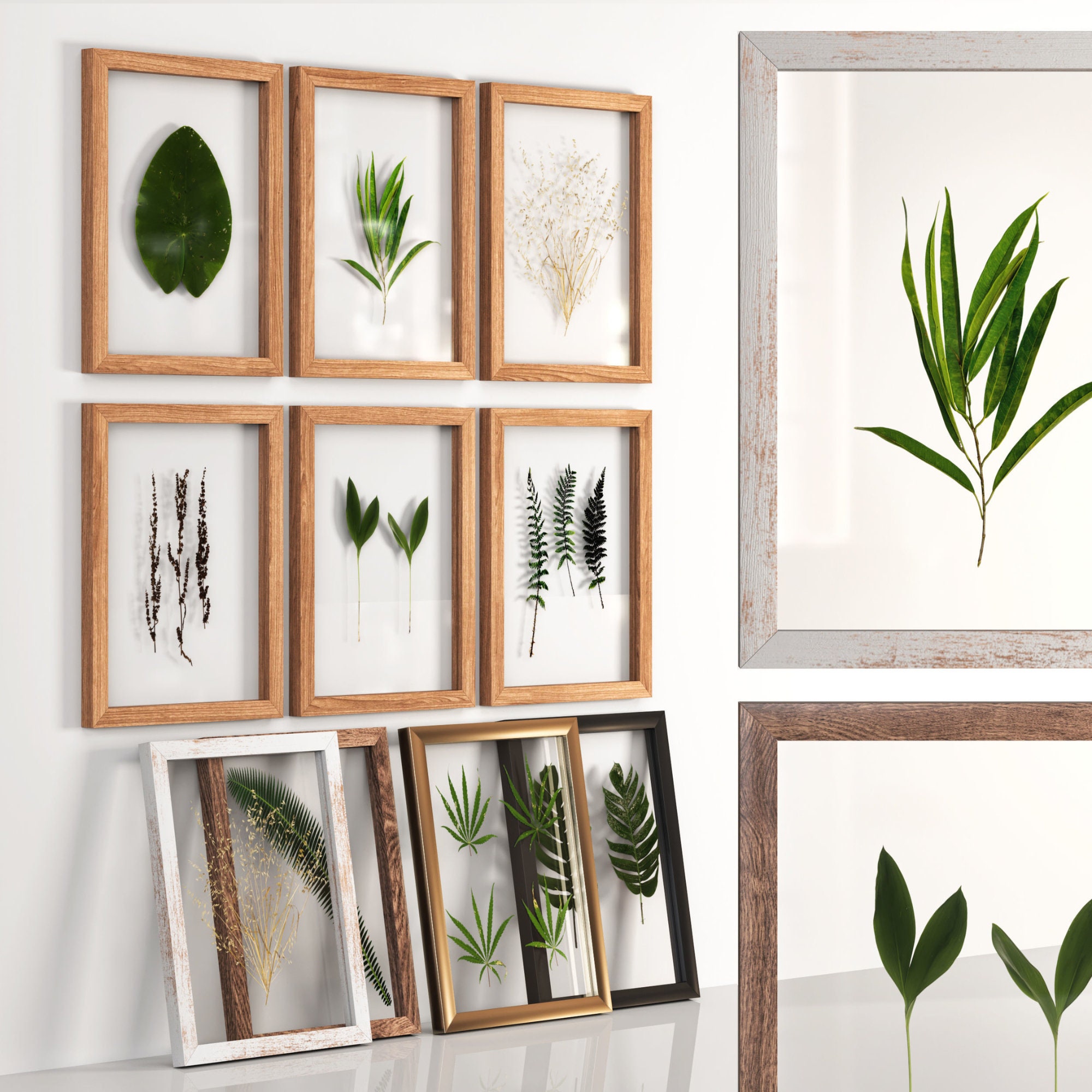 Frames Set Rare Plants 3D Model 10 Frames, 9 Plants ,5 Colors wood ...