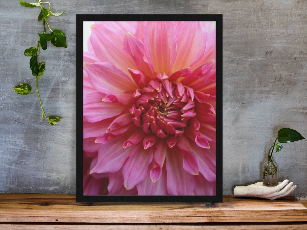Islander Dahlia Digital Download, Printable Wall Art, Instant Download ...