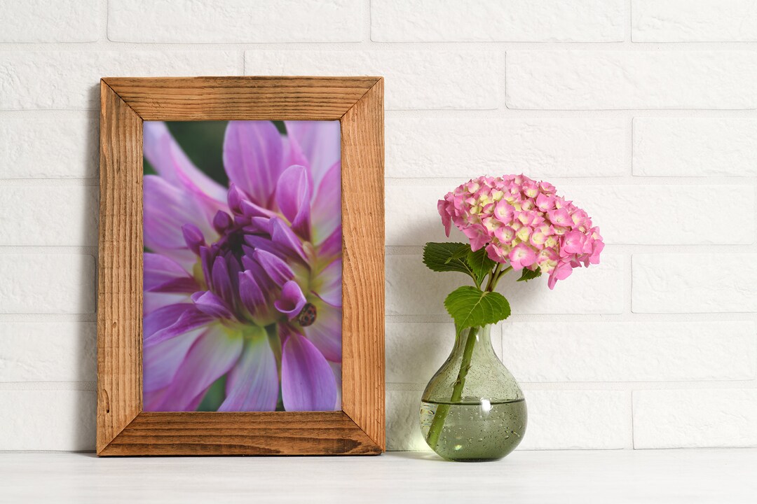 Leila Savanna Rose Digital Download, Printable Wall Art, Instant ...