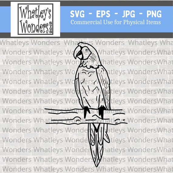 Pirate Parrot SVG Parrot Cut File Bird JPG Hand Drawn | Etsy