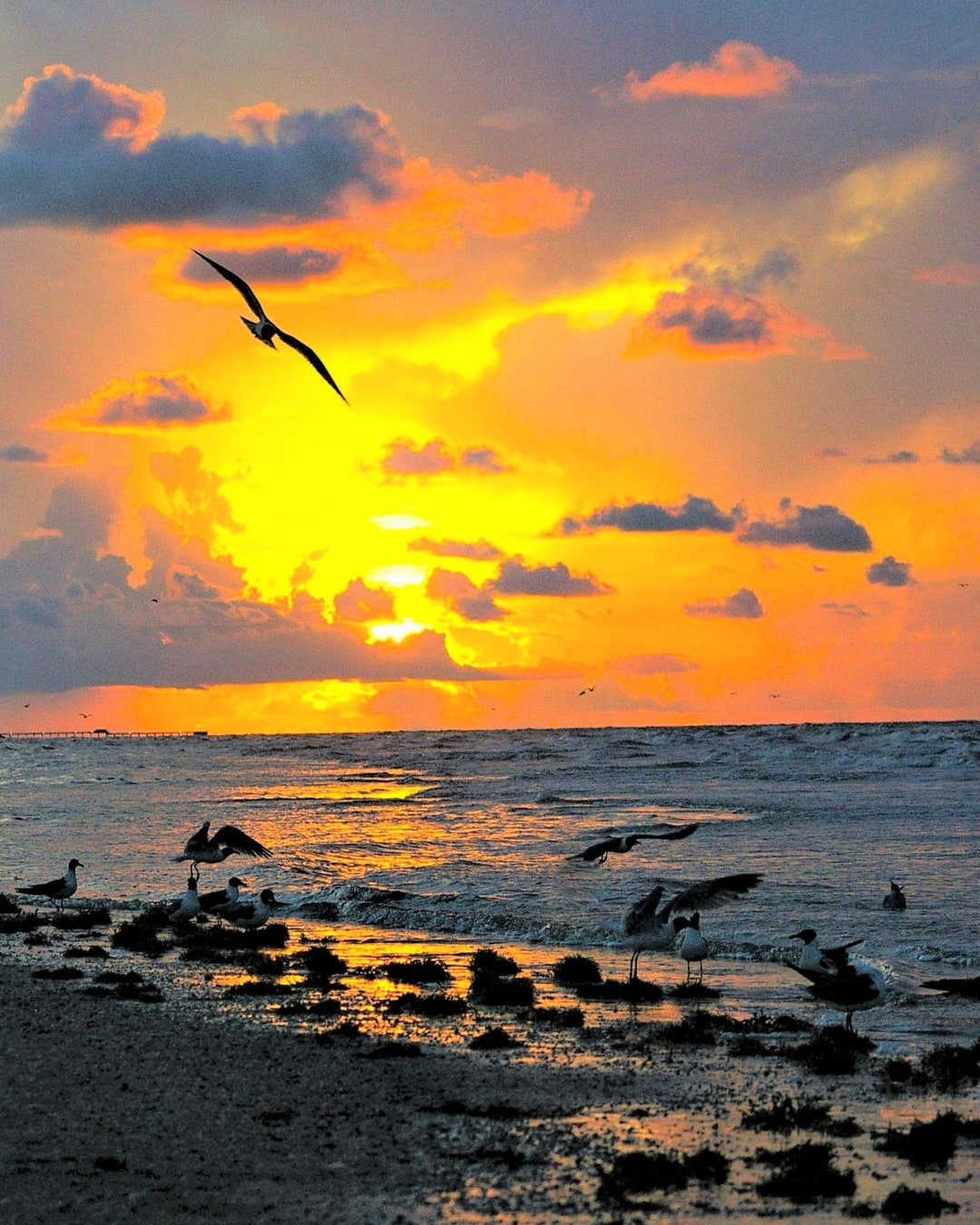 Digital Print Download, Galveston Beach Sunrise, Texas Beaches, Beach ...