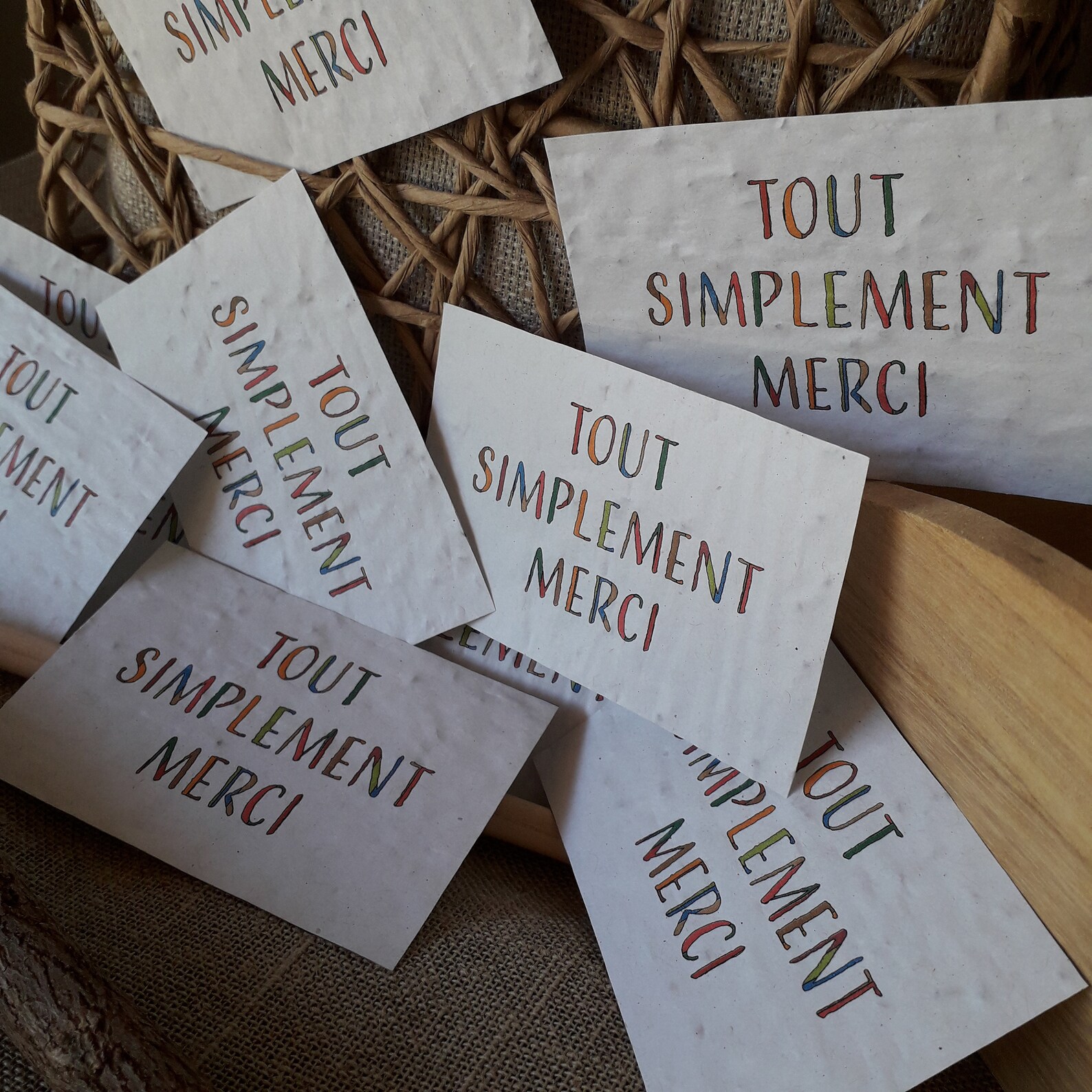 Lot de 10 Mini Cartes à planter Tout Simplement Merci Carte | Etsy France