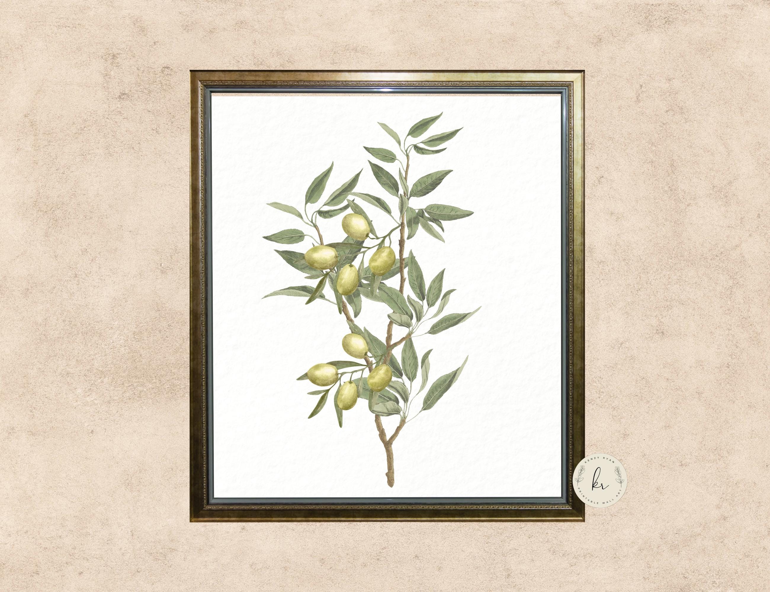 Olive Tree Branch Art, Botanical Prints, Neutral Wall Art, Rustic ...