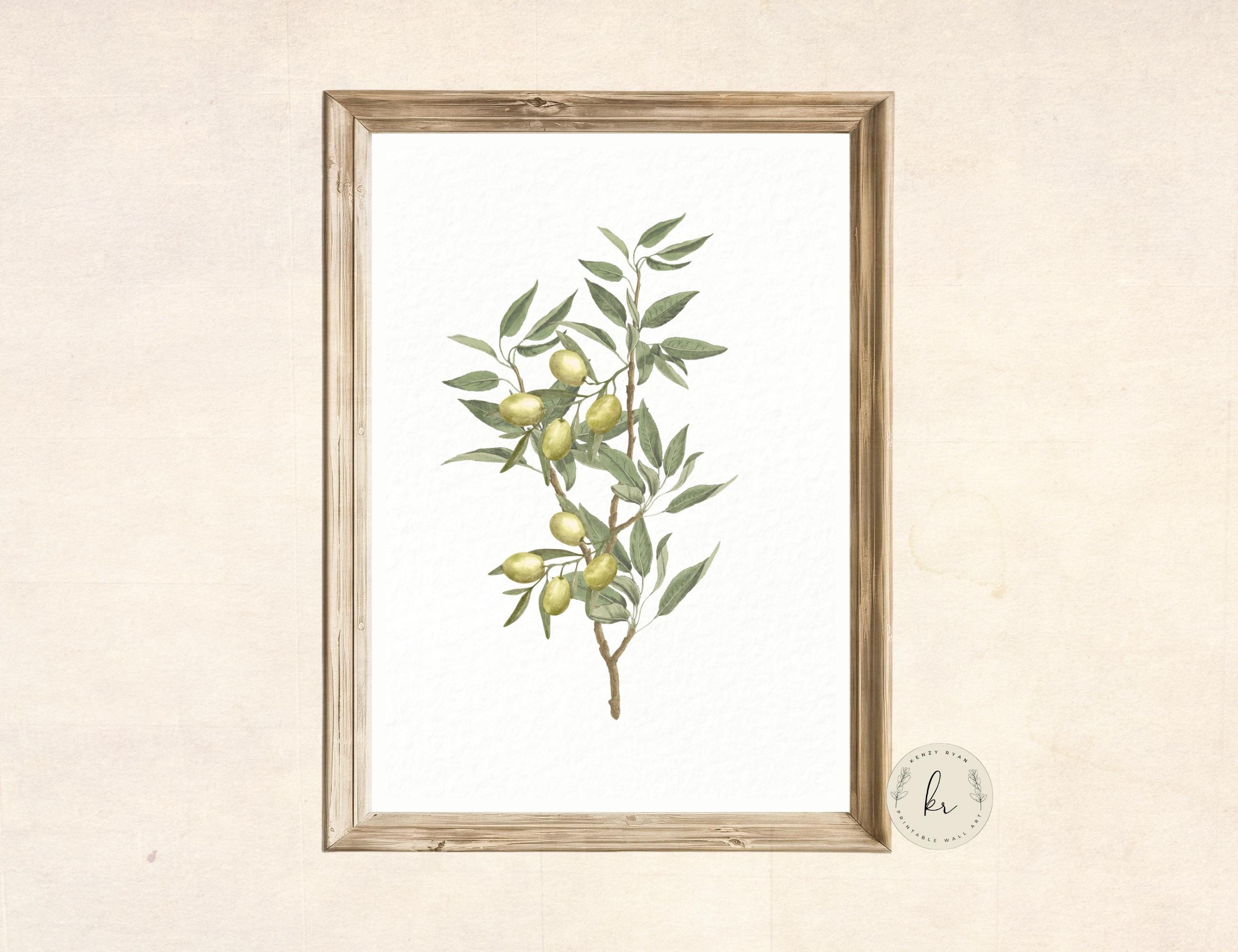 Olive Tree Branch Art, Botanical Prints, Neutral Wall Art, Rustic ...