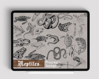 Snake Turtle Frog - Etsy