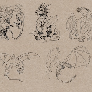 30 Procreate Dragons Stamps, Dragons for Tattoo, Dragon Brushes ...