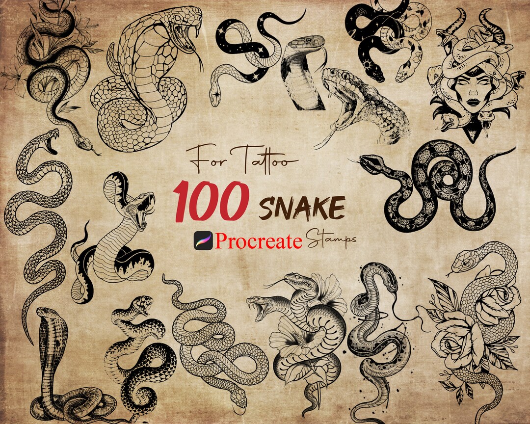 100 Procreate Snake Stamps, Snakes for Tattoo, Procreate Realistic ...