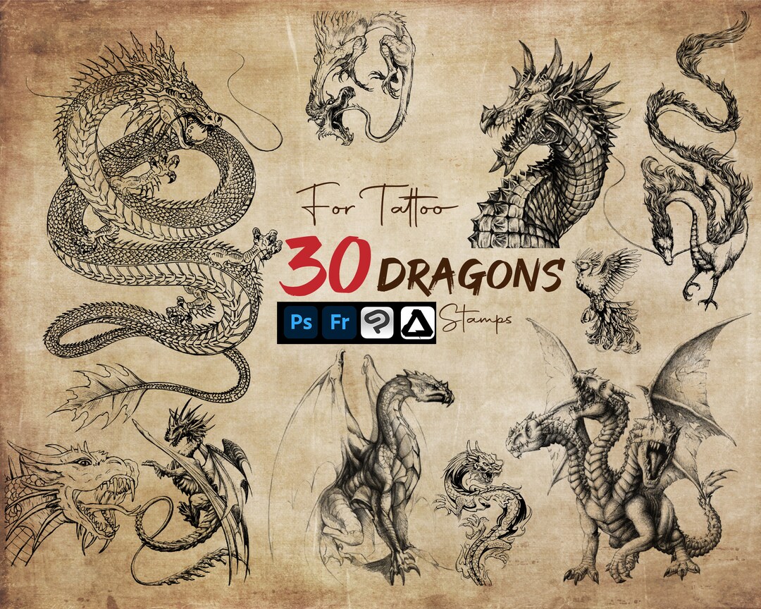 30 Photoshop Dragons Stamps, Dragons for Tattoo, Clip Studio Paint ...