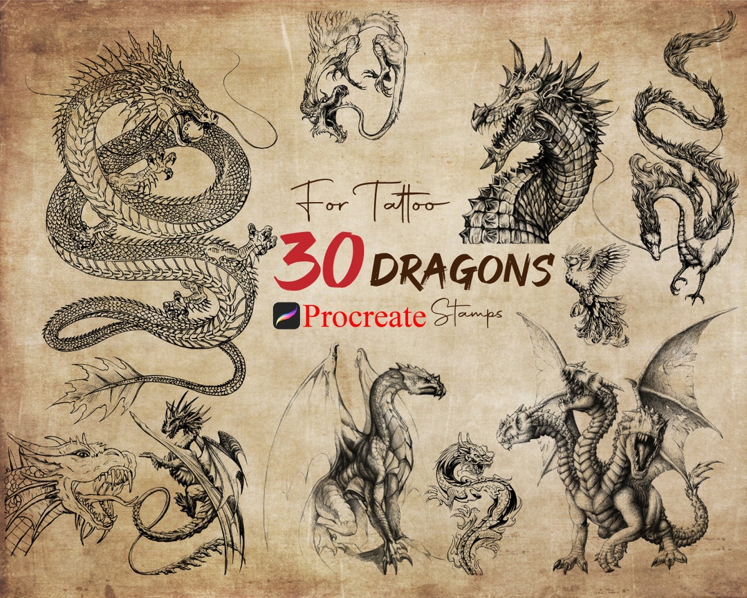 30 Procreate Dragons Stamps, Dragons for Tattoo, Dragon Brushes ...