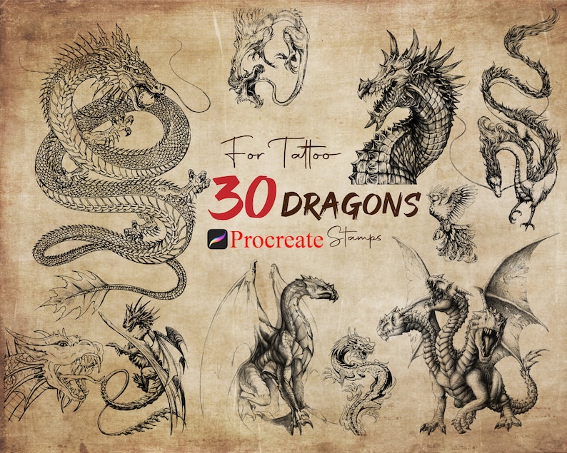 30 Procreate Dragons Stamps, Dragons for Tattoo, Dragon Brushes ...