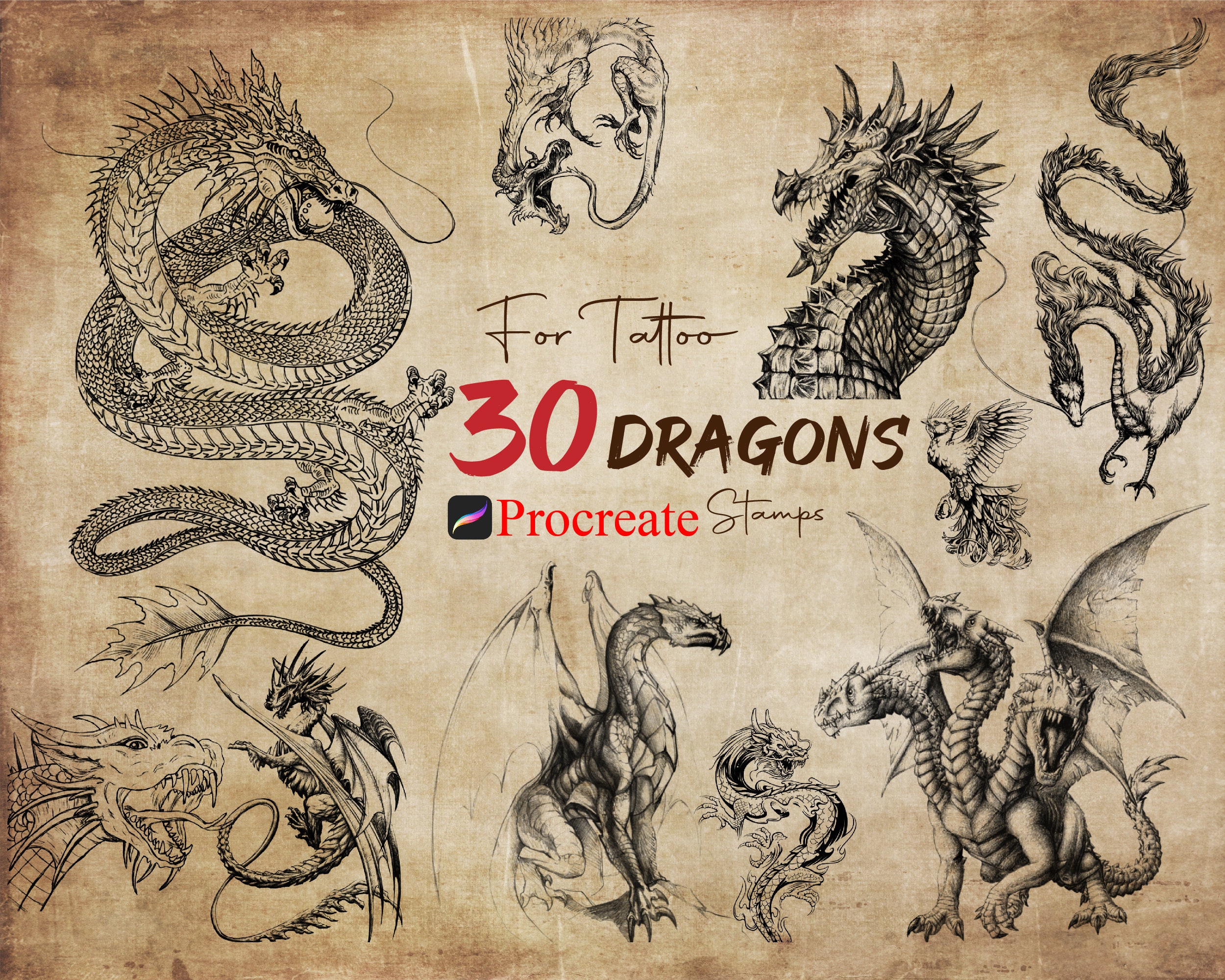 30 Procreate Dragons Stamps, Dragons for Tattoo, Dragon Brushes ...